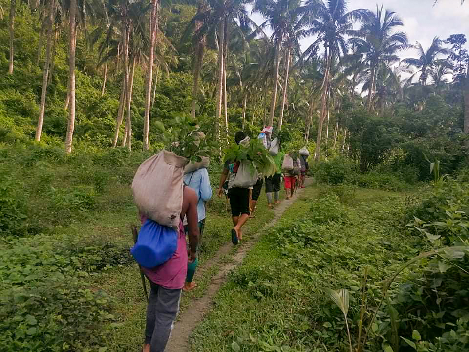 SMC plants 3.8 million trees in three years, Dumagats join ...